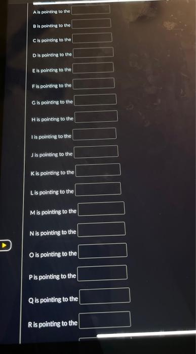 Solved Colau abe the values for eqch of the icisest in the | Chegg.com