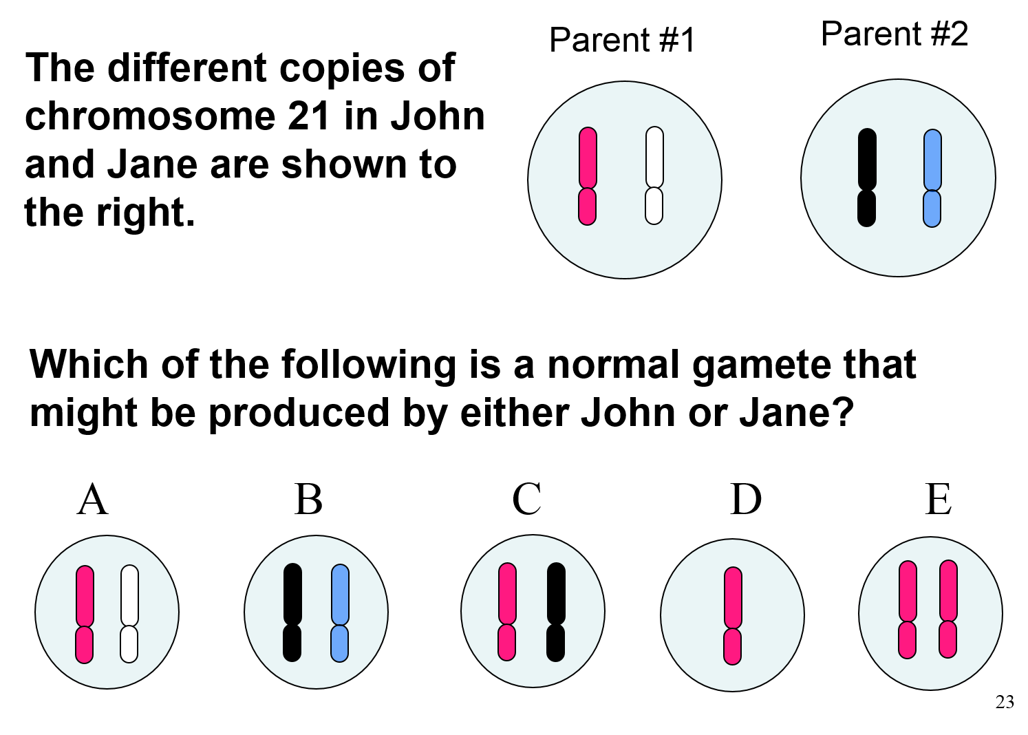 Solved CQ\#6: The different Parent \#1 ﻿Parent \#2 ﻿copies | Chegg.com