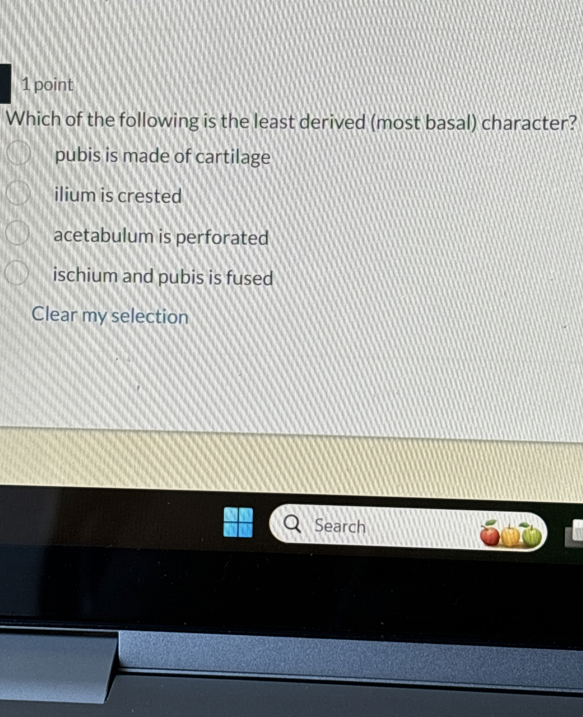 Solved 1 ﻿pointWhich of the following is the least derived | Chegg.com