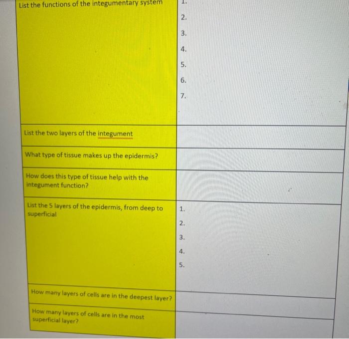 Solved List the functions of the integumentary system 2. 3. | Chegg.com