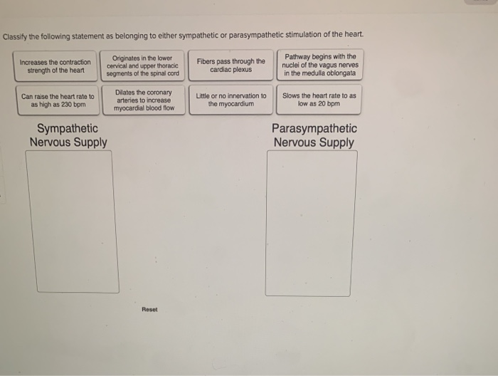 Solved Classify the following statement as belonging to | Chegg.com