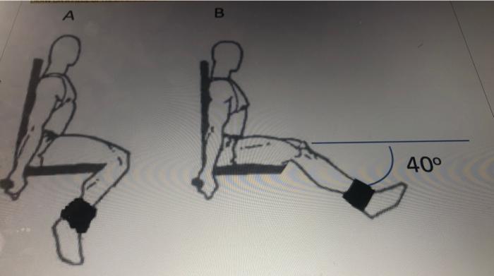 Solved Diagram the torque created at the knee by the ankle | Chegg.com