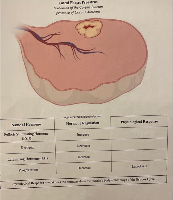 Solved Name of Hormone Follicle Stimulating Hormone (FSH) | Chegg.com