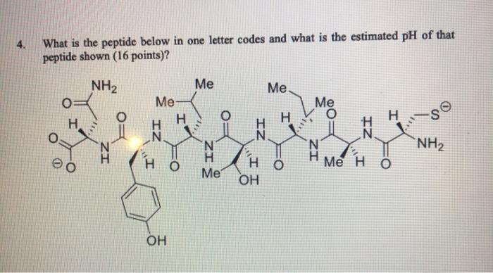 Solved 4. What is the peptide below in one letter codes and | Chegg.com
