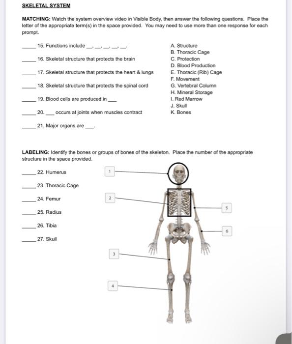 Solved MATCHING: Watch the system overview video in | Chegg.com