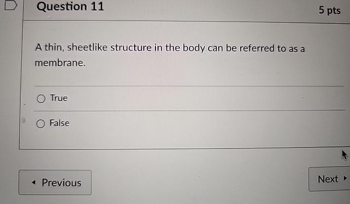 Solved Question 115 ﻿ptsA thin, sheetlike structure in the | Chegg.com