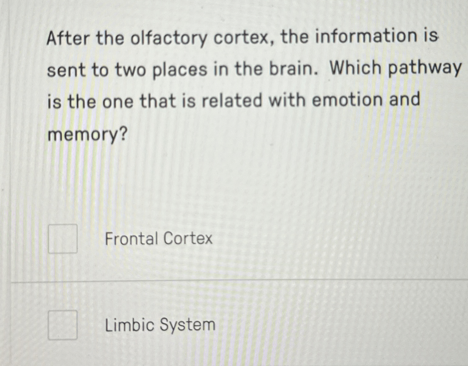 Solved After the olfactory cortex, the information issent to | Chegg.com