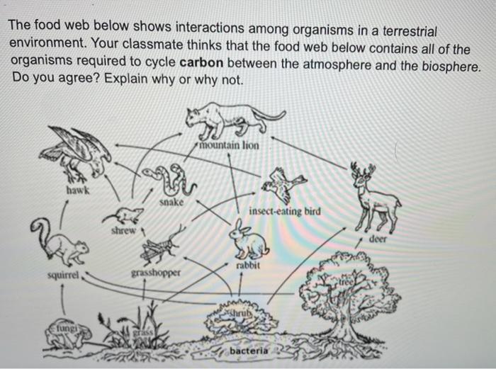 Solved The food web below shows interactions among organisms | Chegg.com