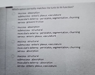 Solved Which option correctly matches the tunic to its | Chegg.com