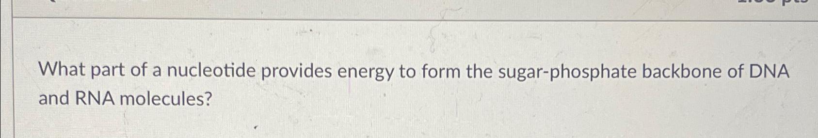 Solved What part of a nucleotide provides energy to form the | Chegg.com