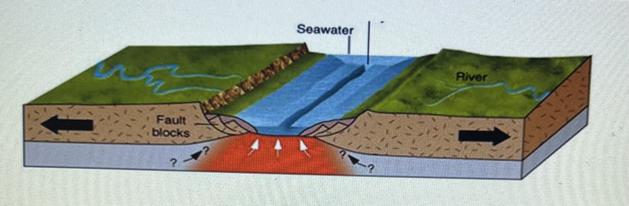 Solved What does the above diagram represent? Continental | Chegg.com