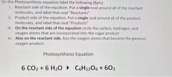 Solved On the Cellular Respiration equation label the | Chegg.com