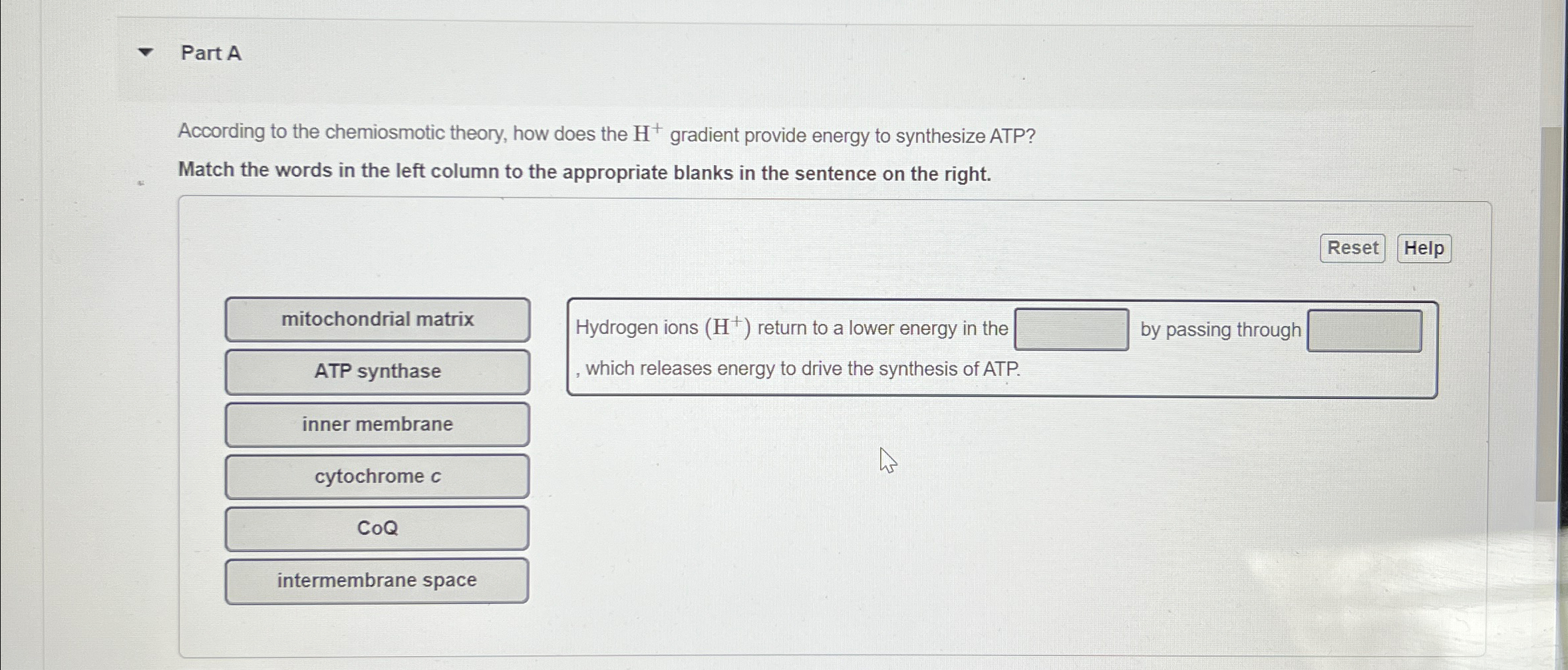 Solved Part AAccording to the chemiosmotic theory, how does | Chegg.com