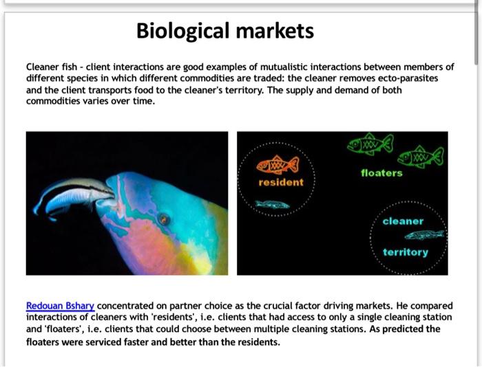Solved Question 38 (10 points) Use the cleaner fish-client | Chegg.com