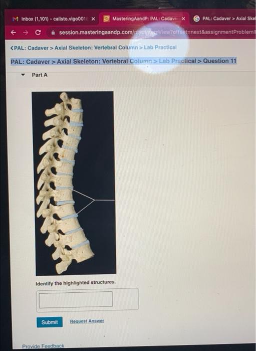 Solved Identify the highlighted structures. | Chegg.com Solved Identify the highlighted structures. | Chegg.com