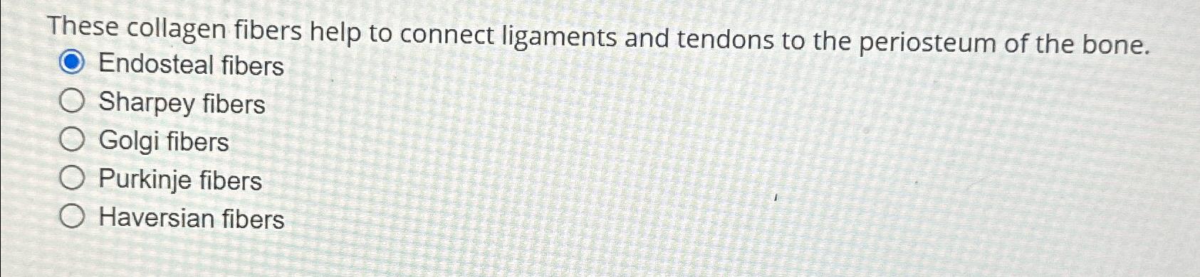 Solved These collagen fibers help to connect ligaments and | Chegg.com