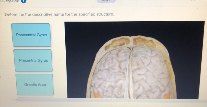 Solved us System Determine the descriptive name for the | Chegg.com