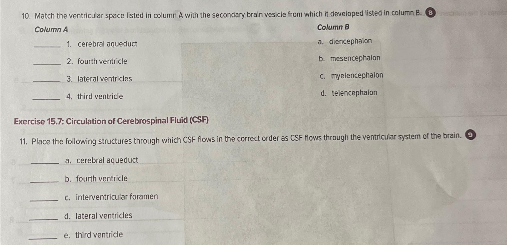 Solved Match the ventricular space listed in column A with | Chegg.com