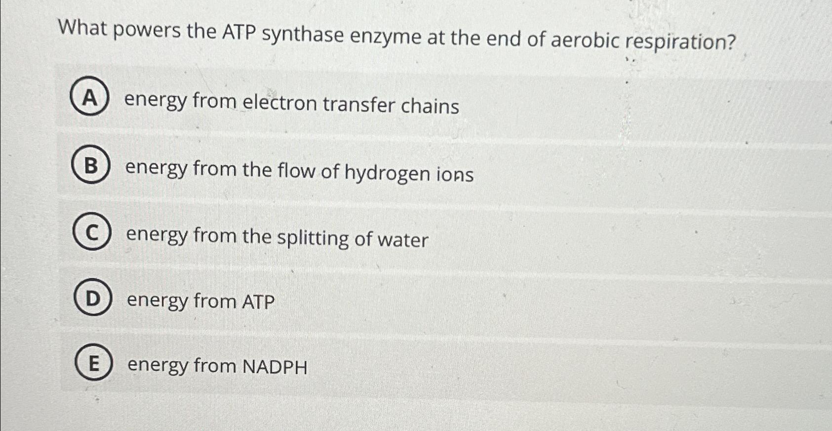 Solved What powers the ATP synthase enzyme at the end of | Chegg.com