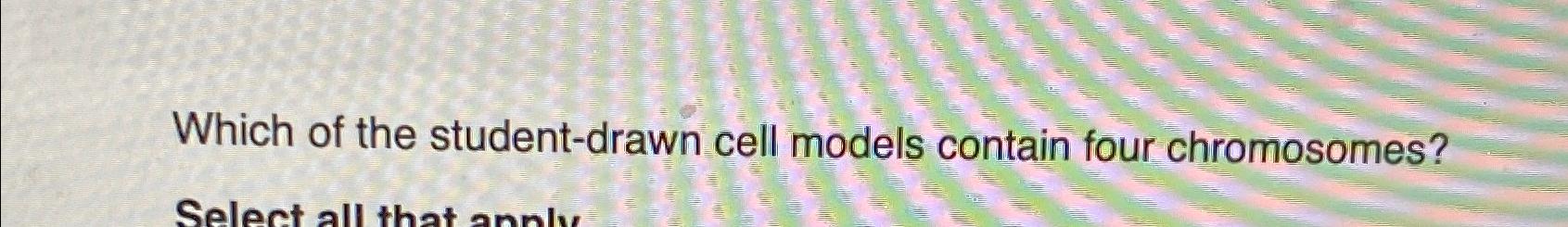 Solved Which of the student-drawn cell models contain four | Chegg.com