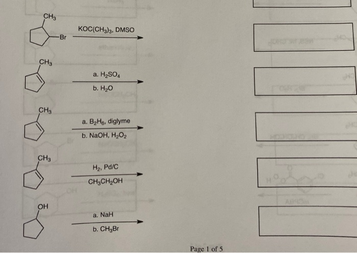 Solved KOC(CH3)3, DMSO -Br a. H2SO4 b. H2O a. B, H, diglyme | Chegg.com