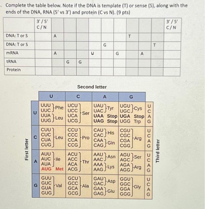 Solved Complete the table below. Note if the DNA is template | Chegg.com