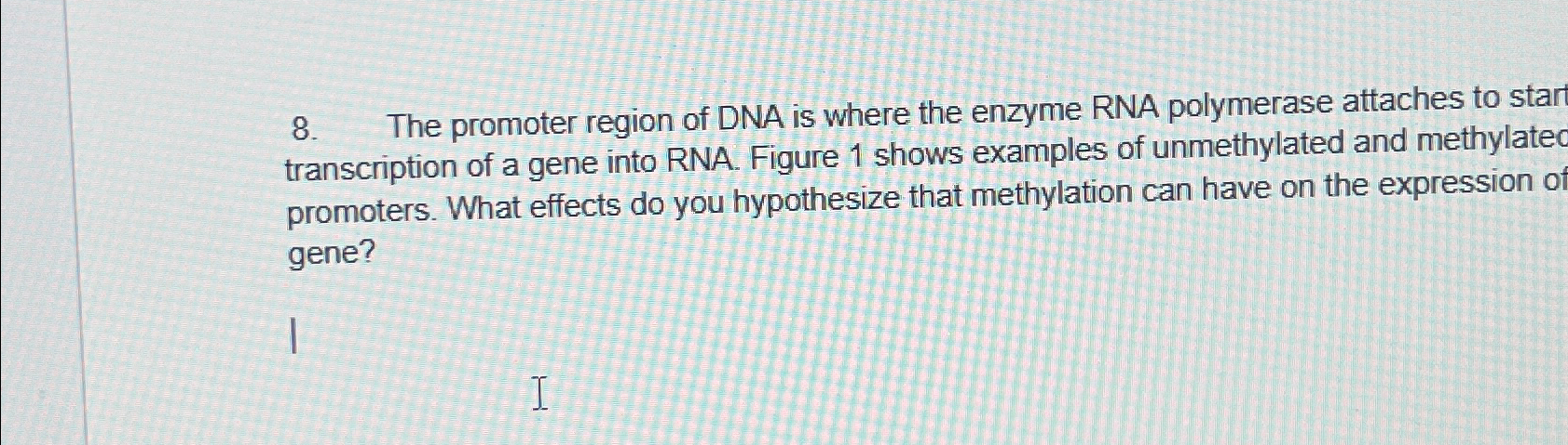 Solved The promoter region of DNA is where the enzyme RNA | Chegg.com