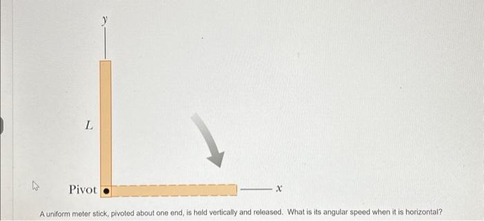 Solved A uniform meter stick, pivoted about one end, is held | Chegg.com
