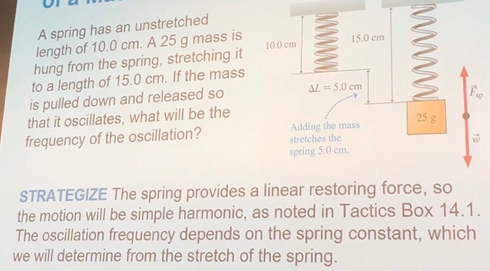 Solved A spring has an unstretched length of 10.0 cm. A 25 g | Chegg.com