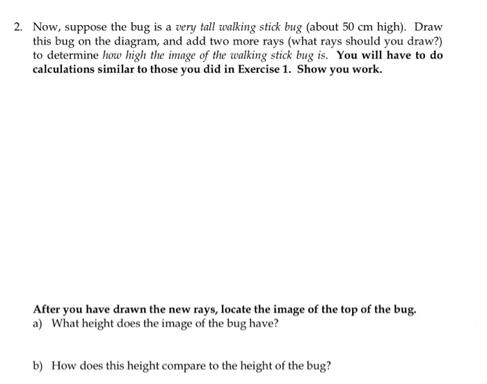 Solved 2. Now, suppose the bug is a very tall walking stick | Chegg.com