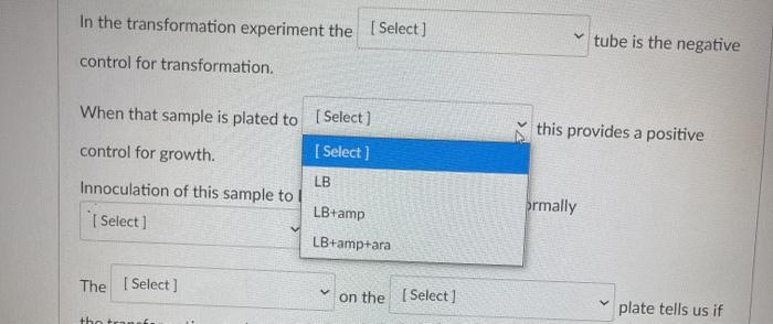 Solved tube is the negative In the transformation experiment | Chegg.com