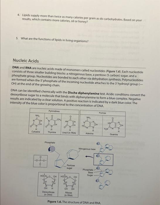 Solved Procedure D: Sudan IV Test for Lipids 1. Obtain six | Chegg.com