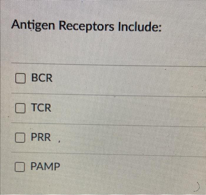 Solved Antigen Receptors Include: BCR TCR PRR O PAMP | Chegg.com