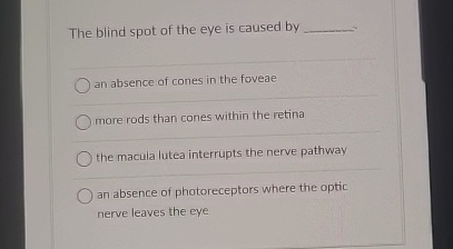 Solved The blind spot of the eye is caused by an absence of | Chegg.com