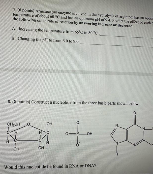 Solved 7. (6 points) Arginase (an enzyme involved in the | Chegg.com