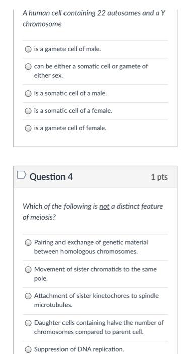 Solved A human cell containing 22 autosomes and a Y | Chegg.com