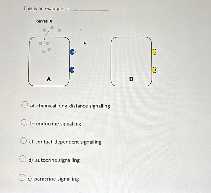 Solved Cell A releases signal X into the extracellular | Chegg.com