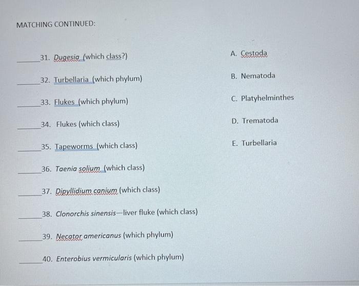 Solved MATCH THE FOLLOWING ANIMALS WITH THE CORRECT PHYLUM | Chegg.com