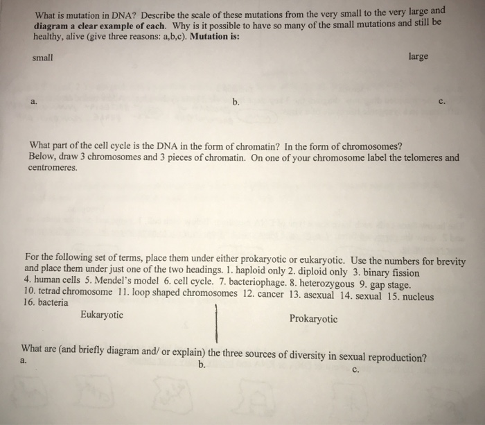 Solved What is mutation in DNA? Describe the scale of these | Chegg.com