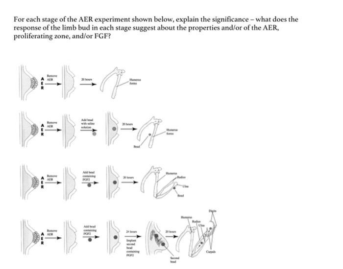 Solved For each stage of the AER experiment shown below, | Chegg.com