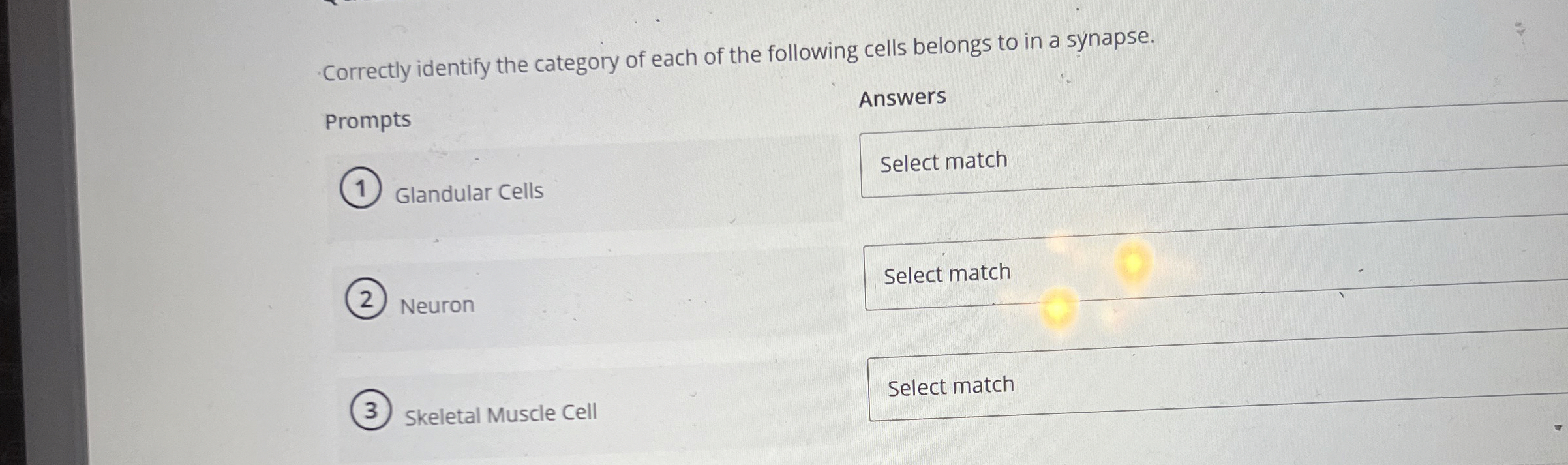 High Quality SOLUTION Correctly identify the category of each of the | Chegg.com