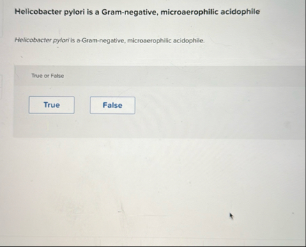 Solved Helicobacter pylori is a Gram-negative, | Chegg.com