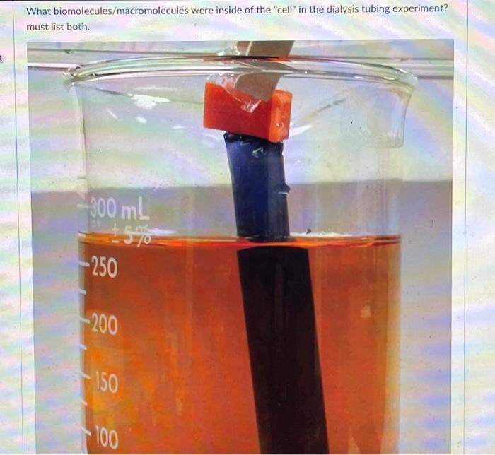 Solved What biomolecules/macromolecules were inside of the | Chegg.com