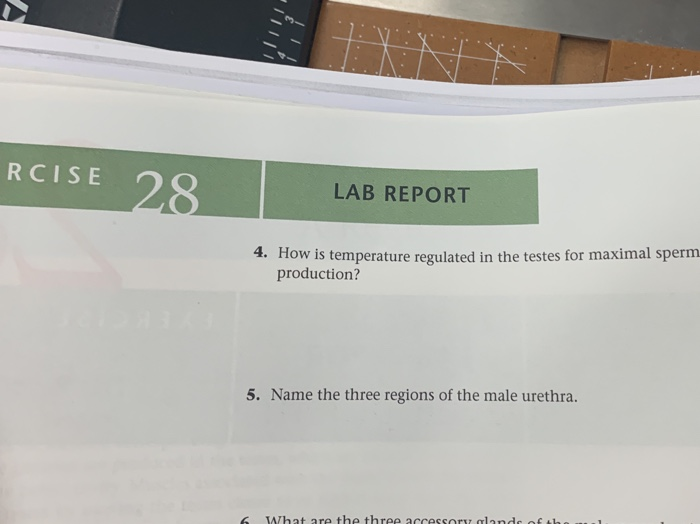 Solved RCISE 28 LAB REPORT 4. How is temperature regulated | Chegg.com