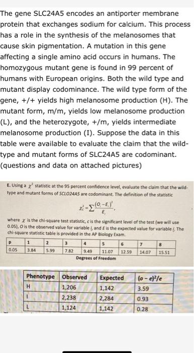 Solved The gene SLC24A5 encodes an antiporter membrane | Chegg.com