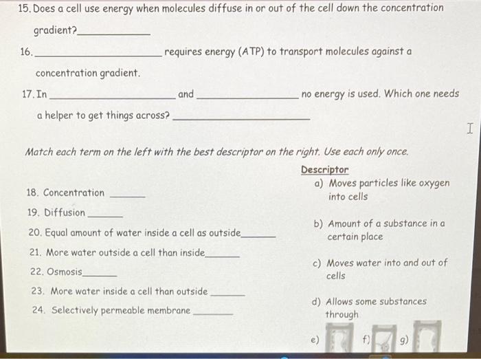 Solved How are the molecules moving in the examples below | Chegg.com