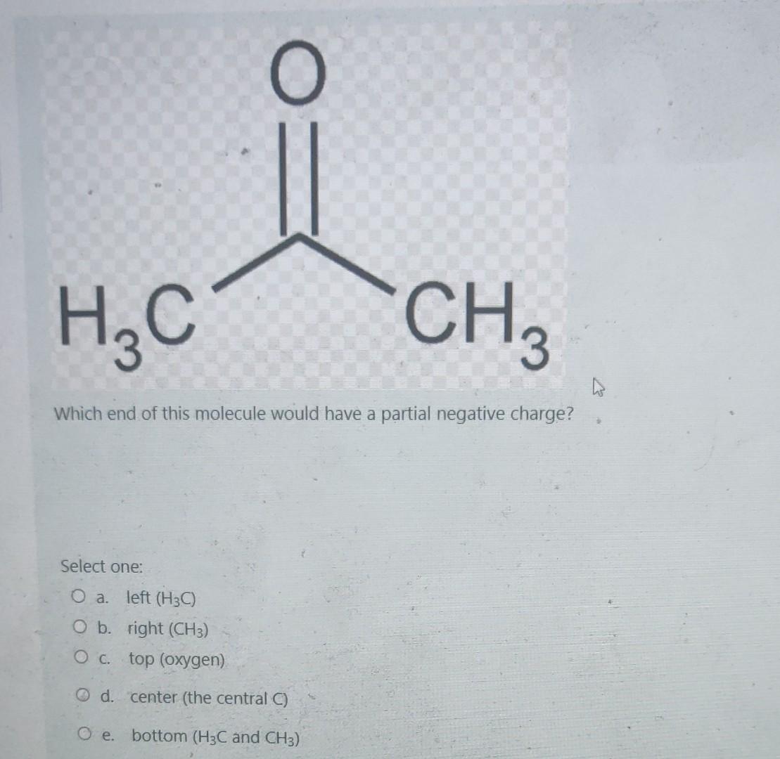 Solved O Н.С CH3 Which end of this molecule would have a | Chegg.com