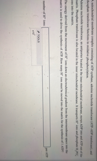 Solved A mitochondrial membrane complex consisting of ATP | Chegg.com