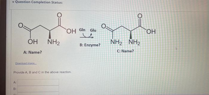 Solved Question Completion Status: OH GIN Glu OH OH NH2 B: | Chegg.com