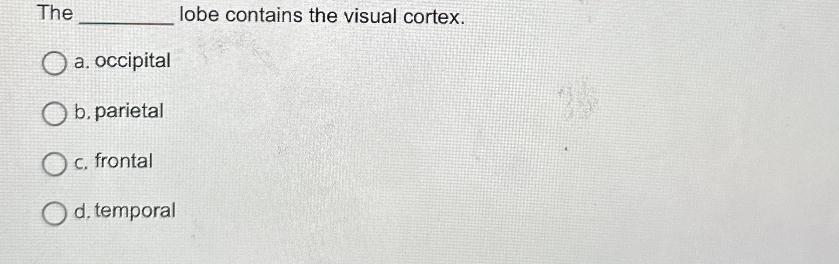 Solved The lobe contains the visual cortex.a. ﻿occipitalb. | Chegg.com